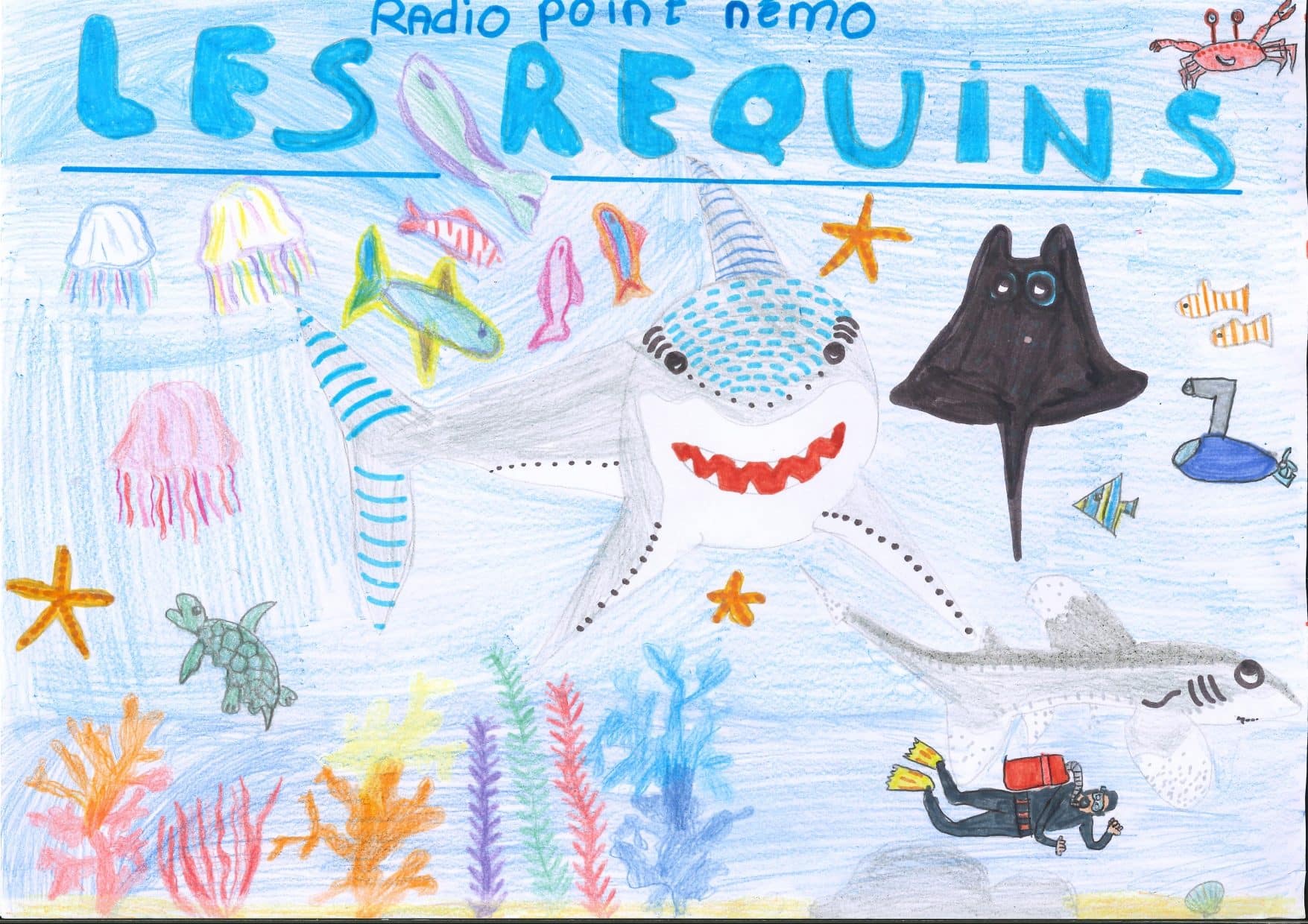 Radio Point Nemo - OCCE - Radio